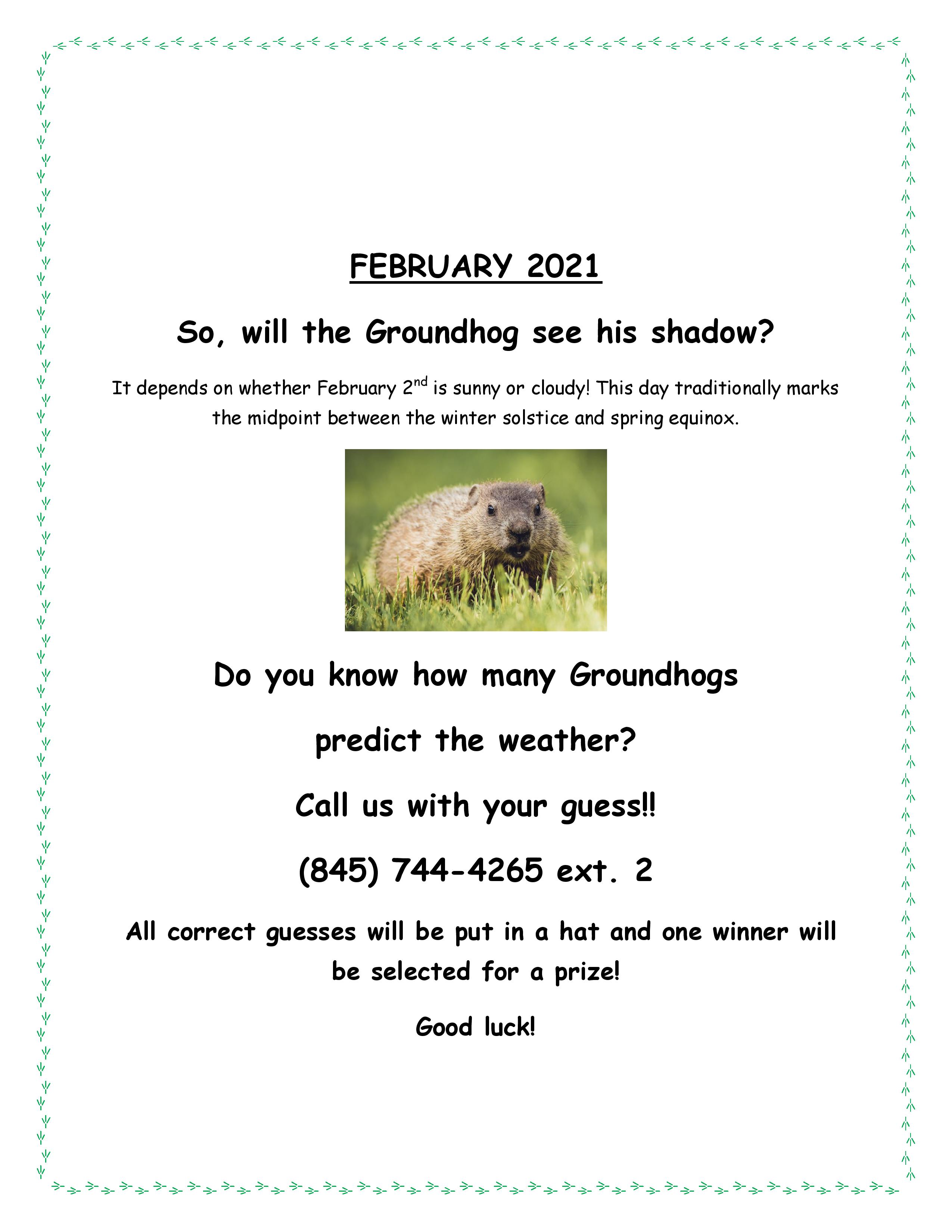 So, will the Groundhog see his shadow? | Pine Bush Area Public Library