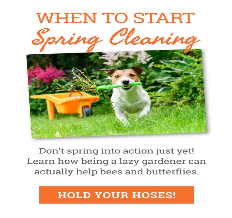 Spring Cleanup Time: When To Start Spring Garden Cleaning | Pine Bush ...